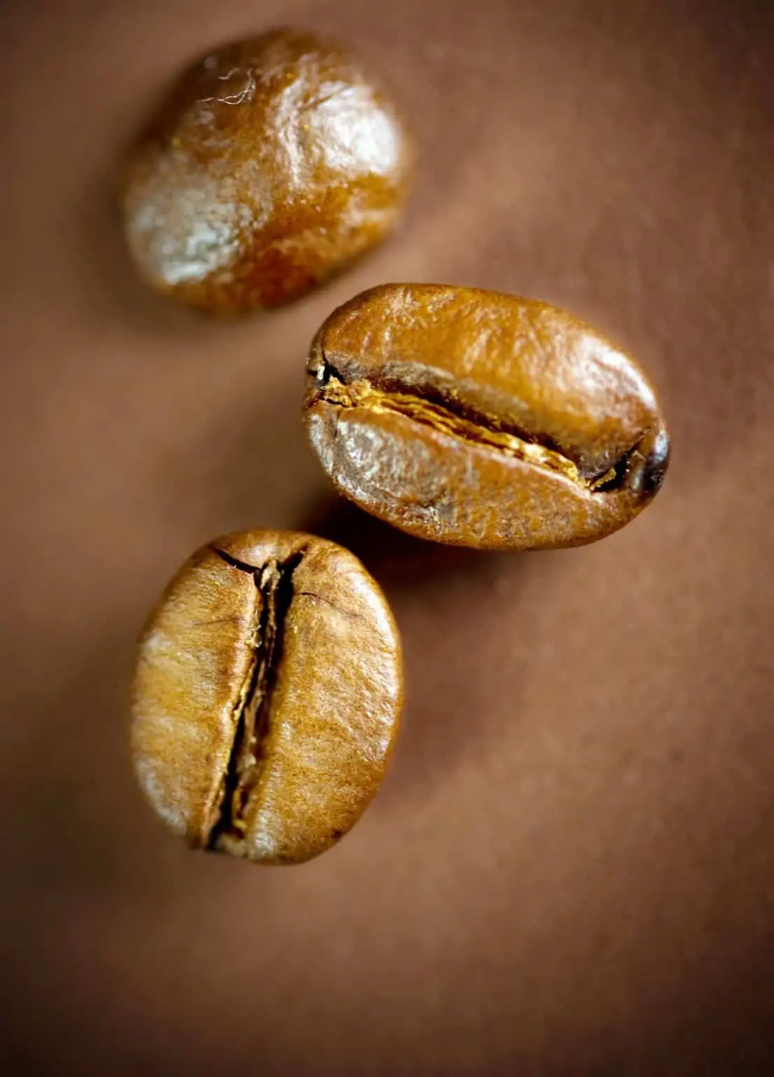 Light Roast vs Dark Roast Coffee Beans – What are the differences ...