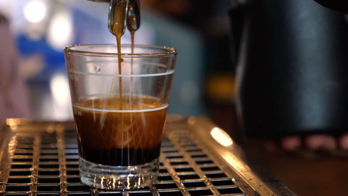 Difference between Cortado and Gibraltar - dripped.coffee