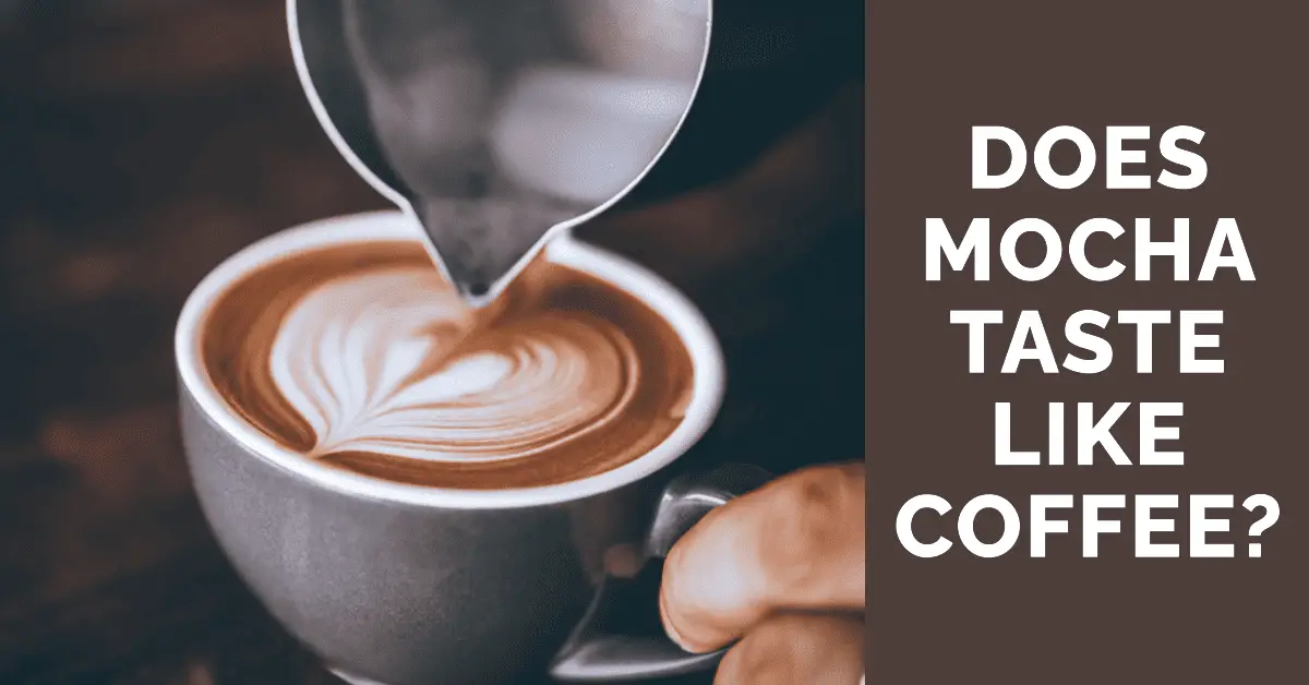 Does Mocha Taste Like Coffee? A Comprehensive Guide To Mocha Flavors ...
